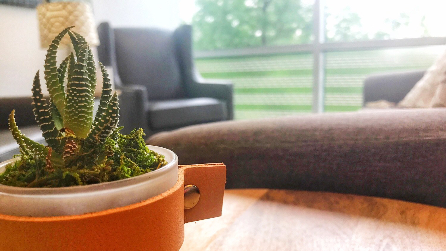 Office Tour – Dr. Emily Fessler